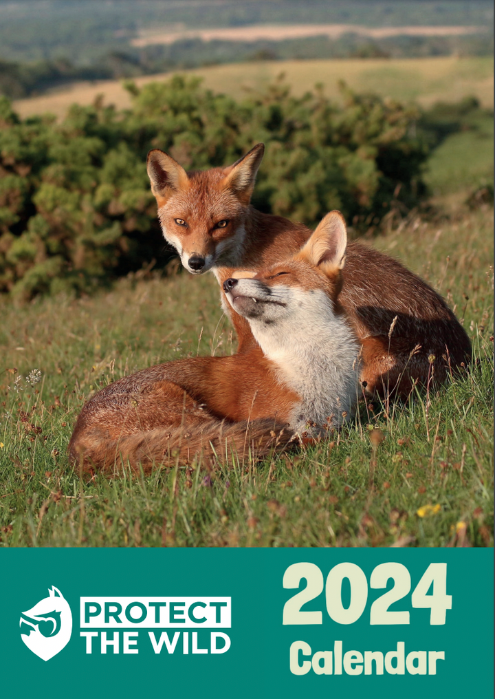 Shop at Protect The Wild – Protect the Wild