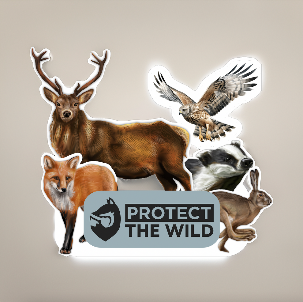 PTW Car Sticker – Protect the Wild