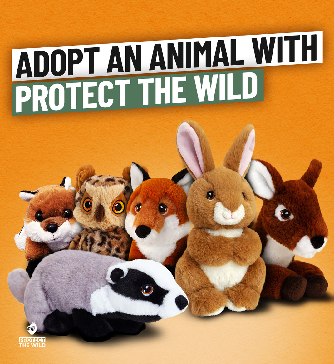 Shop at Protect The Wild – Protect the Wild