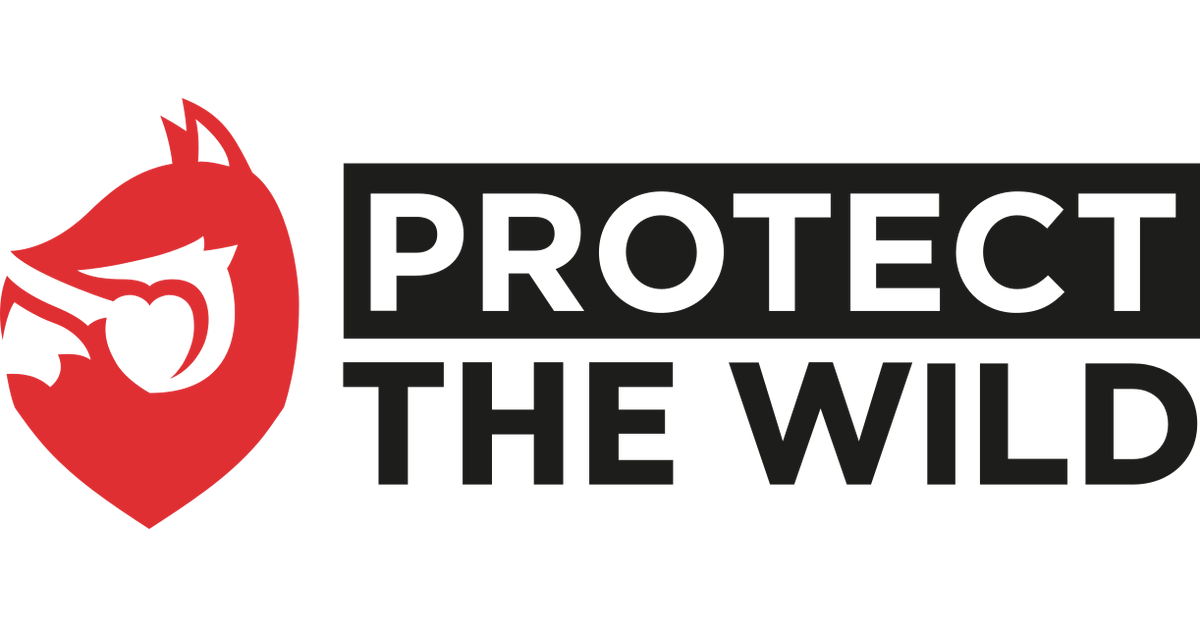 About Us – Protect the Wild